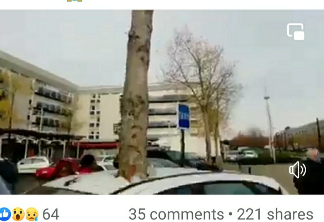 Incredible: Watch VIDEO! Tree grows inside car within days of being ...