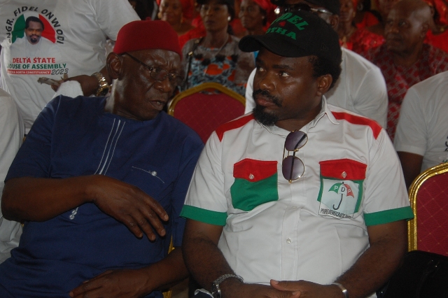 2023 DTHA: Fidel Onwodi Unveiled As PDP Hopeful For Aniocha North State ...