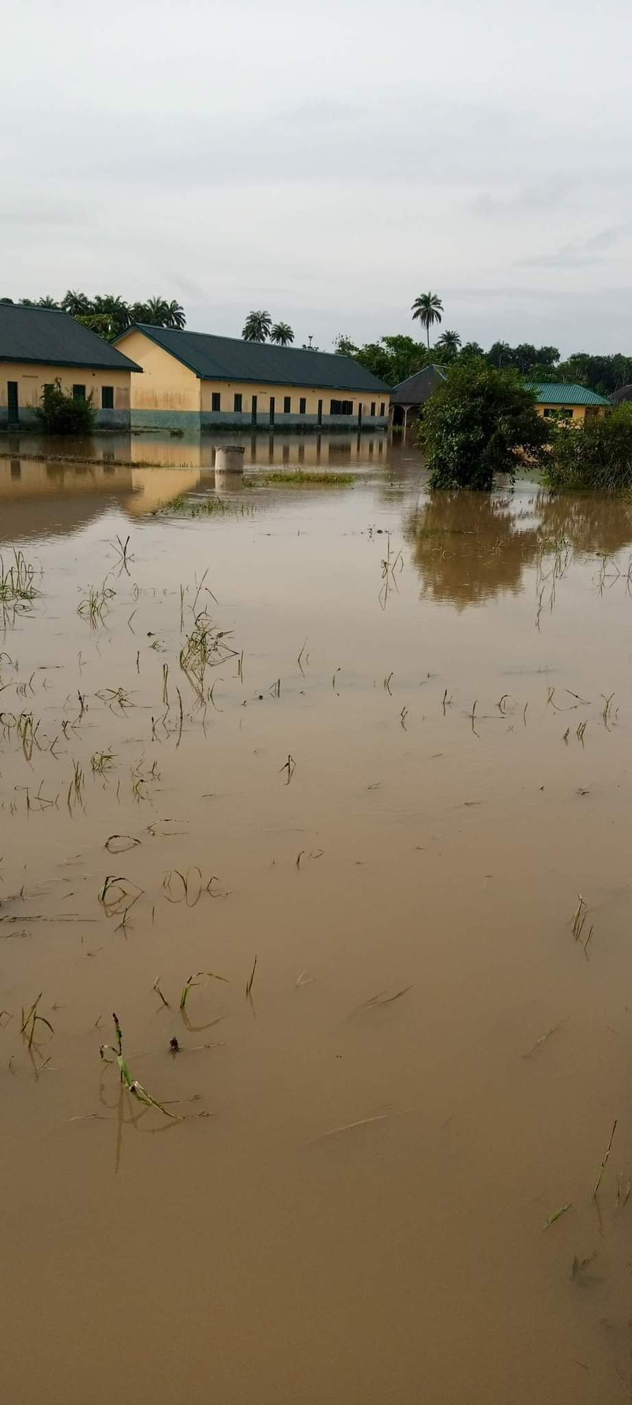 Bayelsa flood 2022: Corpses washed up at cementary in Yenogoa