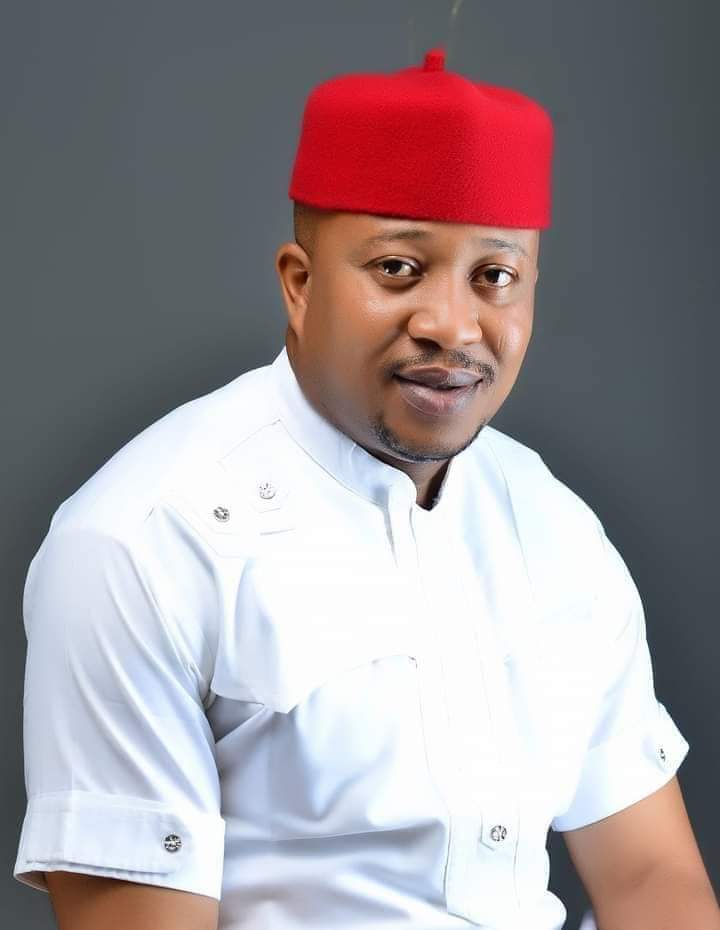 Dr. Michael Nwoko reveals what alumni bodies, varsity authorities must ...