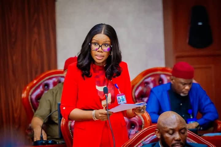 Why we increased our 2025 budget from N936.1bn to N979.2bn - Delta Assembly