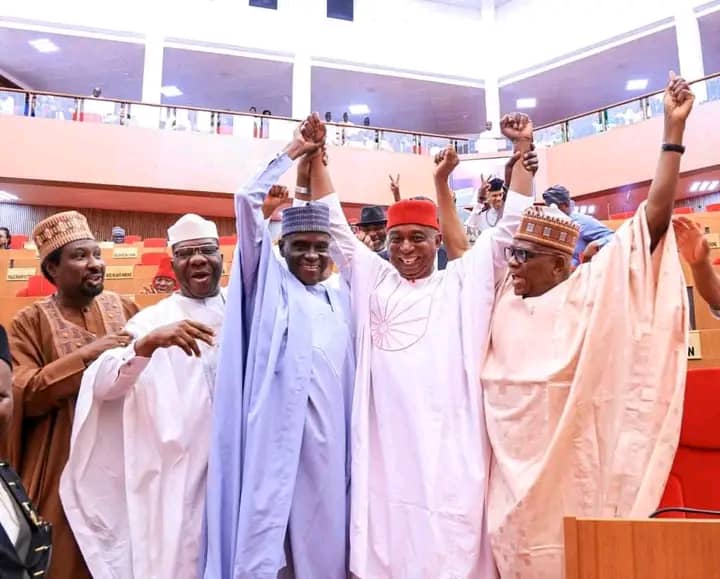 How Senator Ned Nwoko's departure is unsettling Delta PDP, By Kenneth Orusi